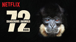 72 Dangerous Animals: Latin America | Netflix Official Site