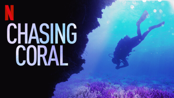 Is 'Chasing Coral' on Netflix? Where to Watch the Documentary - New On ...
