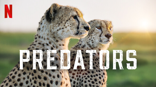 Is 'Predators' on Netflix? Where to Watch the Documentary - New On ...